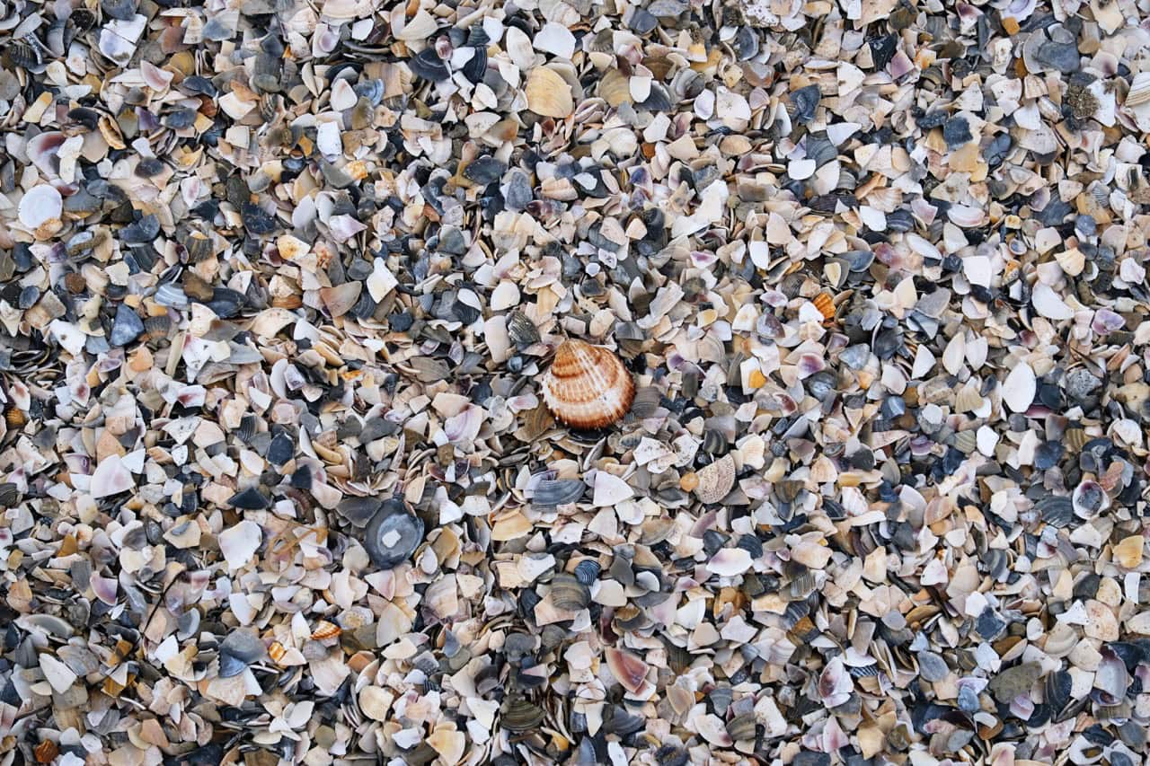 Best Driveways for Florida Homes in 2025 You Need to See